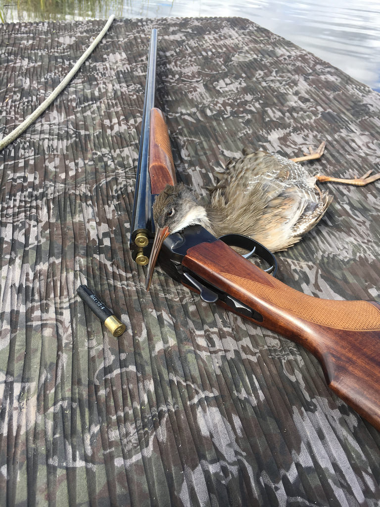 9/18 Marsh hens- Scratch that off the list – The Fall Experience